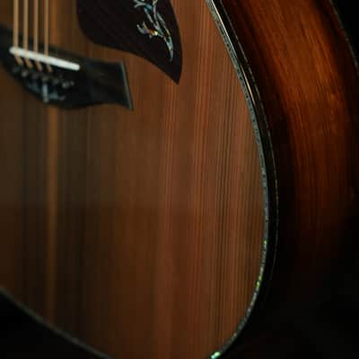 Taylor Next Generation PS14ce 2026 - Natural | Reverb