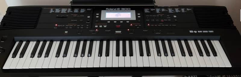 Roland E-300 Keyboard e 300 | Reverb
