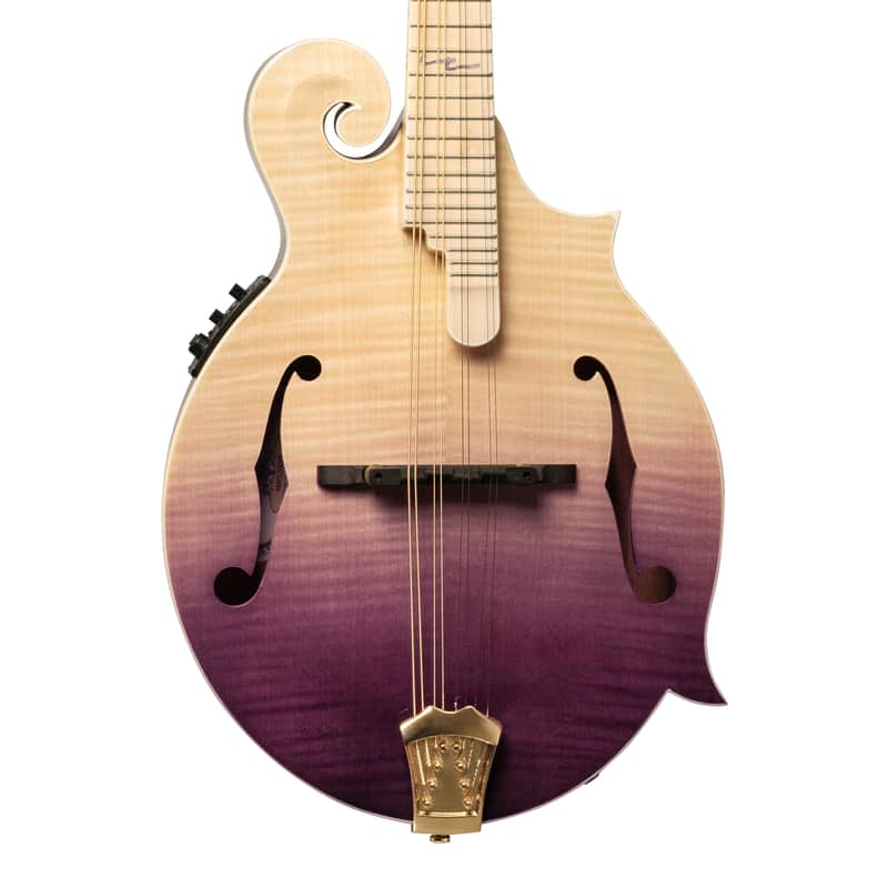 Ortega RMFE200PF A/E F-Style Mandolin w/Deluxe Case - | Reverb