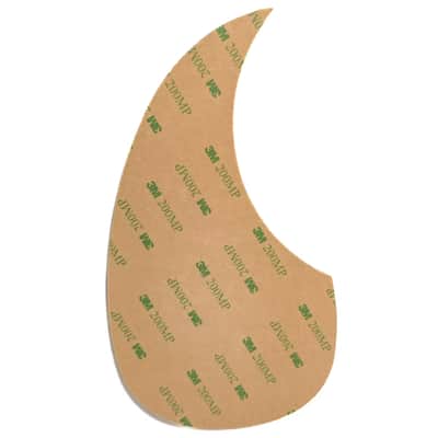 Custom Abalone Shell Peacock Acoustic Guitar Rosewood | Reverb