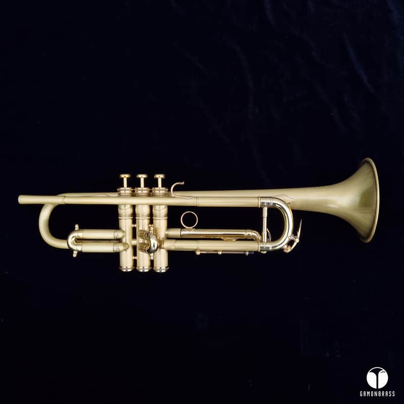 F. Besson MEHA made in France 0.470 bore trumpet case | Reverb