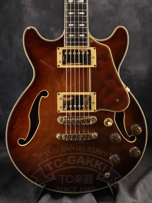 Ibanez AM-200AV | Reverb