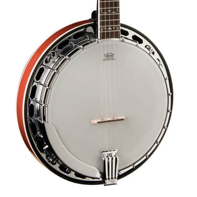 Washburn B16 Americana Series 5 String Banjo - Tobacco | Reverb