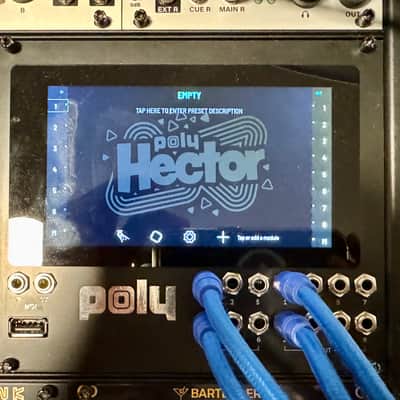 Poly Effects Hector w/ Box | Reverb