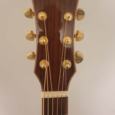 Freshman Apollo 3 DC Natural | Reverb