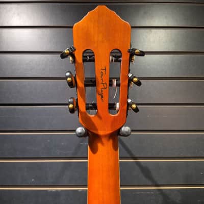 Used Ortega RTPDLX Nylon String Thinline Acoustic Guitar - | Reverb