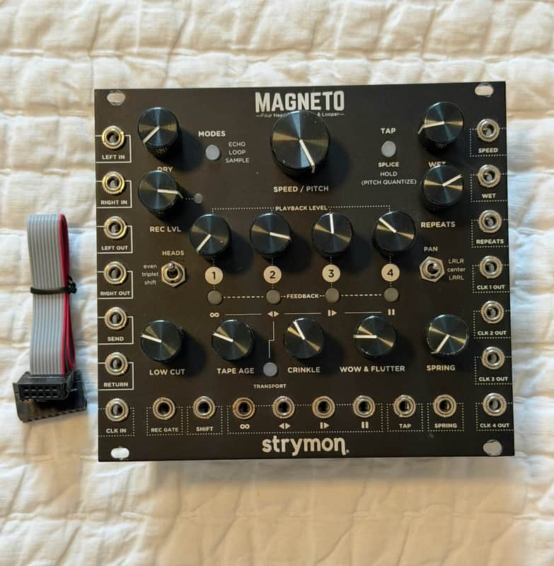 Strymon Magneto Four Head dTape Echo and Looper Eurorack Unit | Reverb