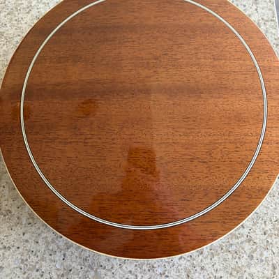 LEFTY 5 string Custom-made Banjo mid 90s | Reverb