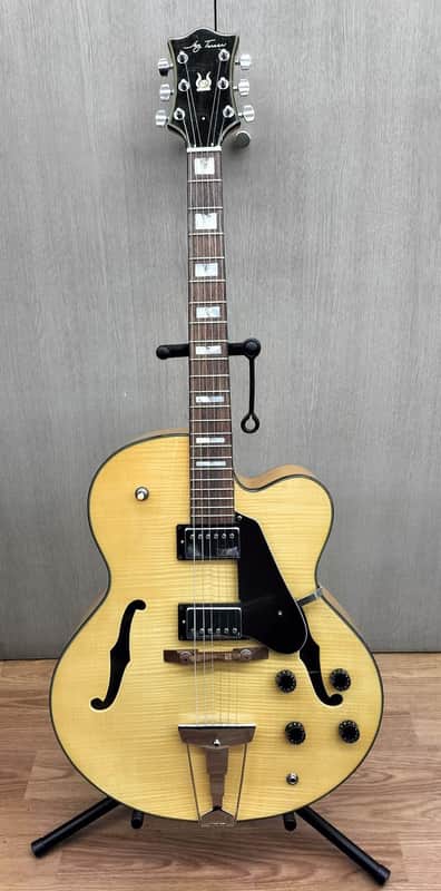 Jay Turser JT-146 Semi-Hollow Guitar - Versatile Sound | Reverb