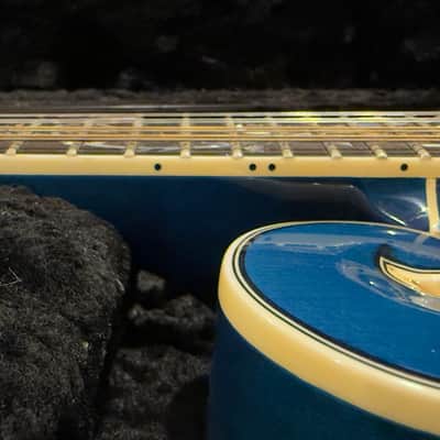 Michael Kelly Legacy Dragonfly Custom II (Limited Edition) | Reverb