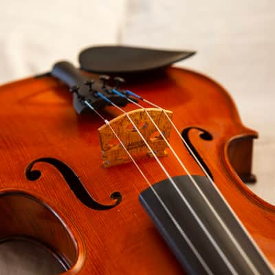 Gliga Vasile 4/4 Size Violin Maestro Extra | Reverb