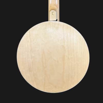 Tanglewood TWB 18 M6 6-String Banjo | Reverb