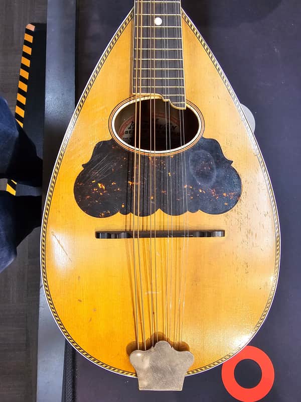 Washburn Bowlback Mandolin | Reverb