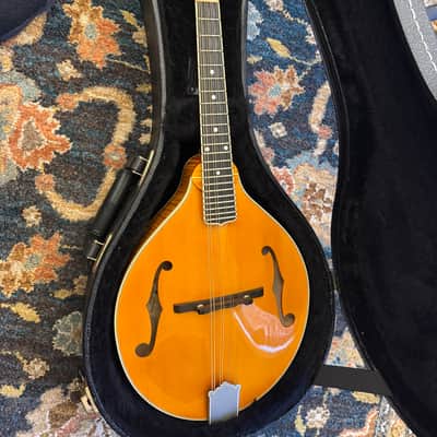 Pava A5 Pro - Amber | Reverb