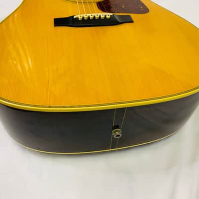 BLUE BELL W-400 Electric-Acoustic Acoustic Guitar by Hoshino | Reverb