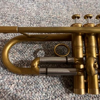 Thane Standard Series Bb Trumpet - Raw Brass | Reverb