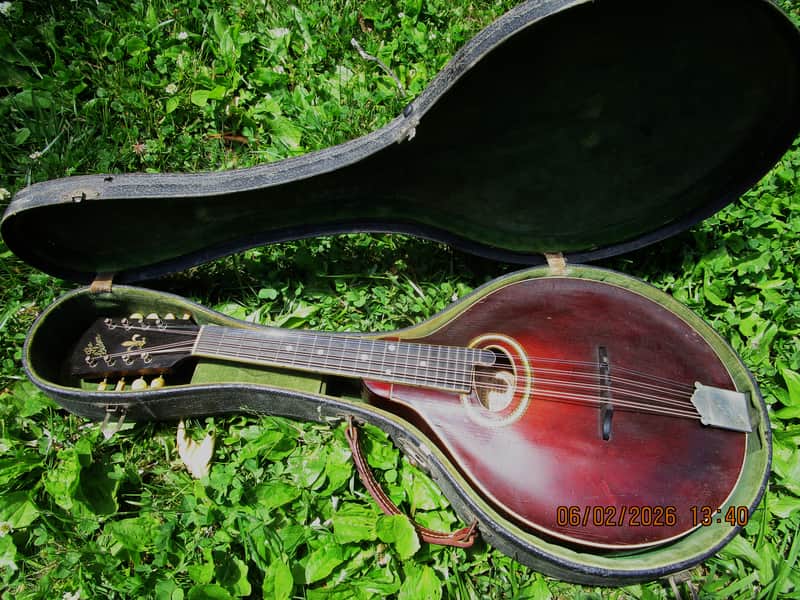 Gibson H-2 Mandola, 1918, Case, Fresh Setup, Clean | Reverb