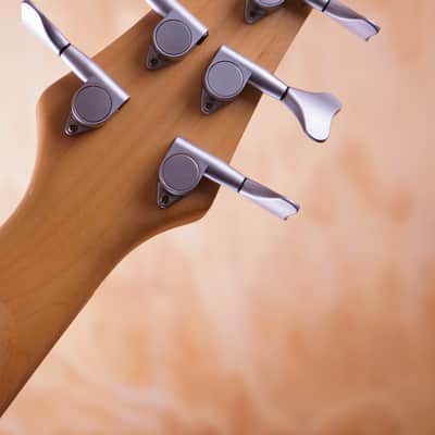 Aria Pro II IGB-68 5-String Electric Bass Guitar in Natural, | Reverb