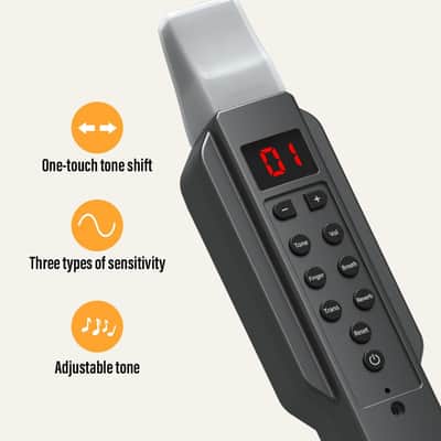 Digital Wind Instrument with 10 Musical Tones, MIDI | Reverb