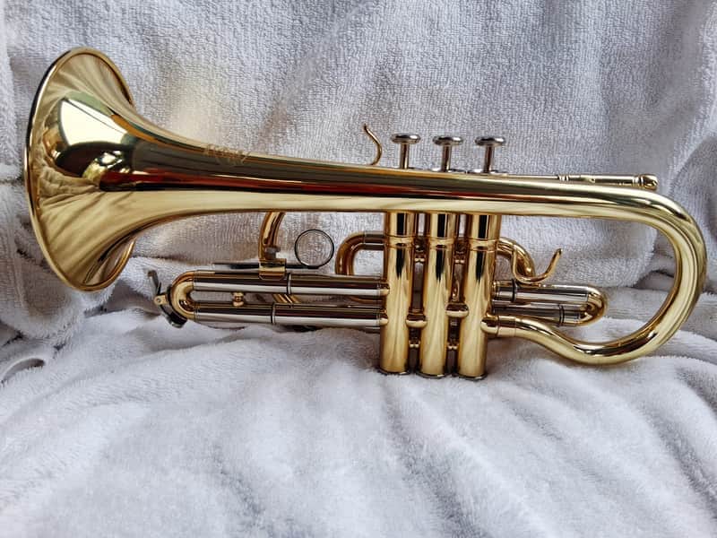 Manchester Brass Bb Flat Ambassador Cornet | Reverb