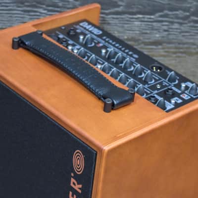 Schertler DAVID Wood 100-Watt 3-Channel 1x6" | Reverb The Netherlands