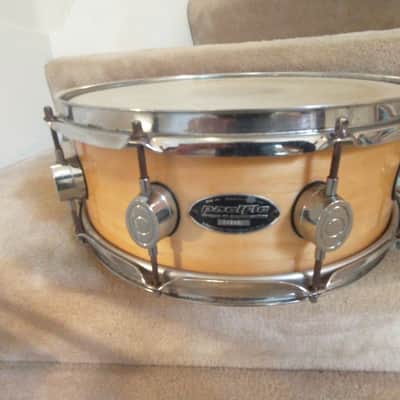Pacific PDP SX series all maple shell 10 lug snare drum | Reverb