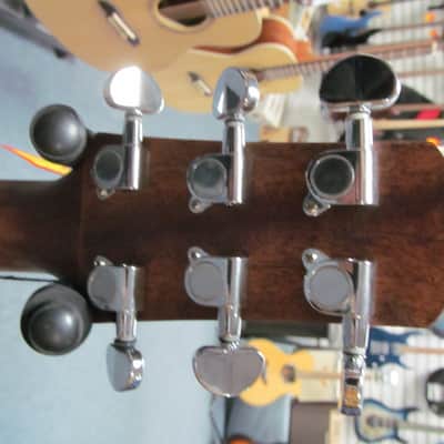 Walden G550RE Natura 500 Series Grand Auditorium Acoustic | Reverb