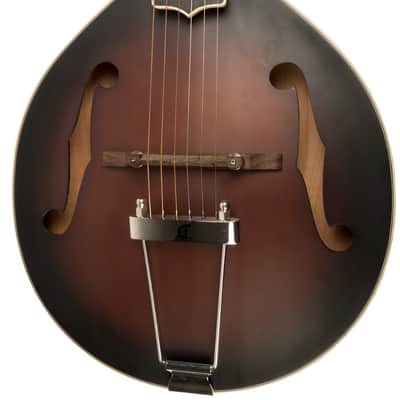 Gold Tone Model A-6 A-Style Mandolin Guitar Folkternative | Reverb