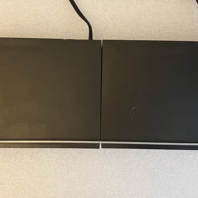 Dorrough 40-A, Pair w / rackmount panel | Reverb