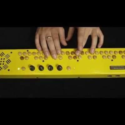 TMH011Y Critter & Guitari TERZ Amplifier, | Reverb