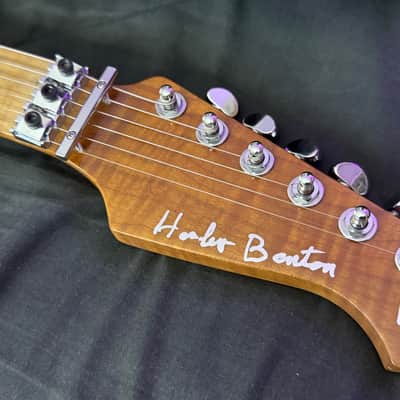 Harley Benton Fusion II - Natural Flame - Roasted Maple - | Reverb