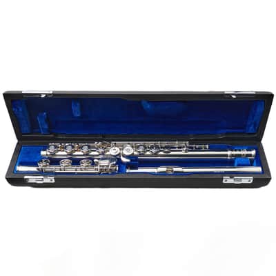 William S. Haynes Q2 Professional Solid Silver Flute Classic | Reverb
