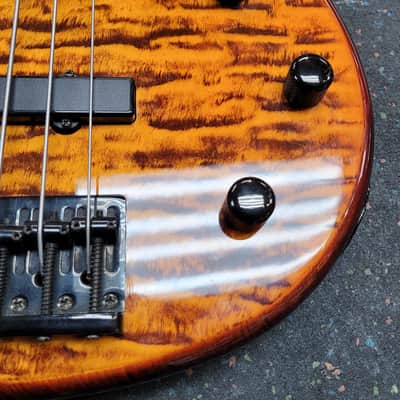Peavey Millenium BXP 5-String Bass Tiger Eye Flame | Reverb
