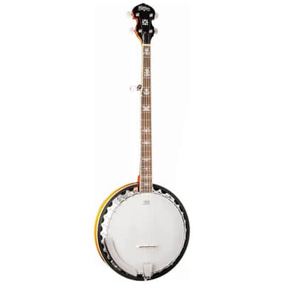 Washburn Americana B10 5-String Resonator Banjo | Reverb