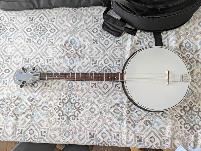 Gold Tone AC-4: Acoustic Composite 4-String Openback Tenor | Reverb