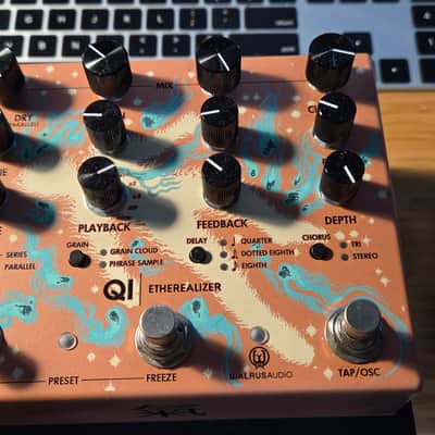Walrus Audio Qi Etherealizer 2025 - Present - Terracotta | Reverb