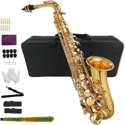 Eb Alto Saxophone For Beginners Adult,Saxophone Student,E | Reverb