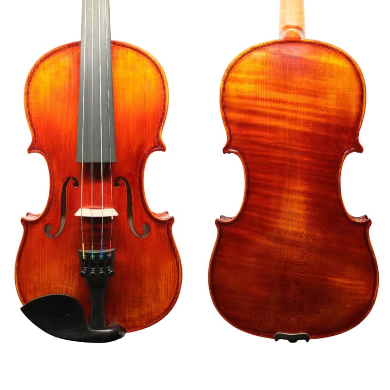 Handmade 1/2 Violin Outfit–One Piece Back,European | Reverb