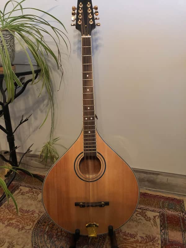 Gold Tone Model OM-800 8-String Solid Spruce Top Octave | Reverb