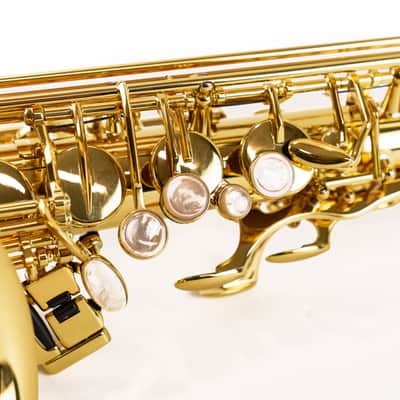 Selmer Paris 52AXOS Professional Alto Saxophone - | Reverb