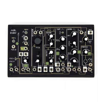 Make Noise 0-Coast Patchable Synthesizer | Reverb