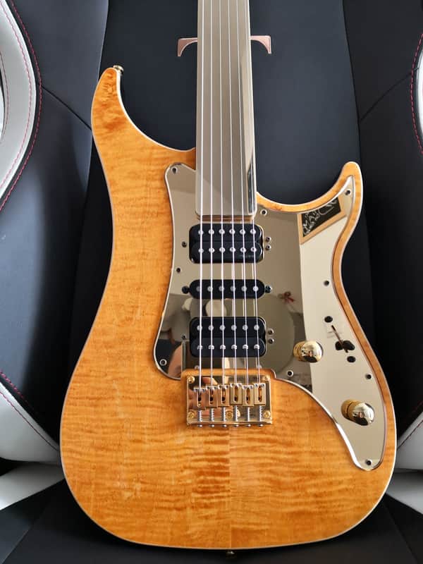 Vigier Surfreter Special Excalibur fretless | Reverb