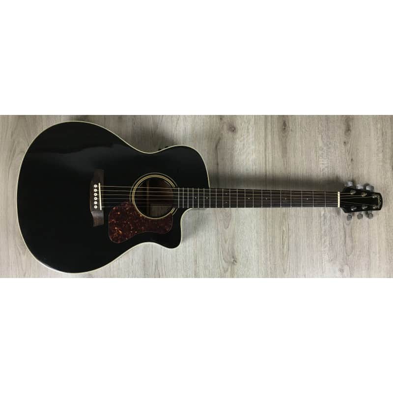 Walden CG570CEB | Reverb