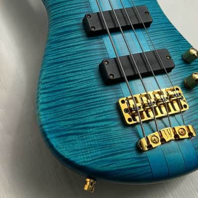 Warwick Custom Shop Streamer Stage I 4st KID Limited 1990 | Reverb