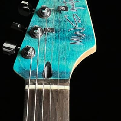 MWS EC Series offset - Trans Blue | Reverb