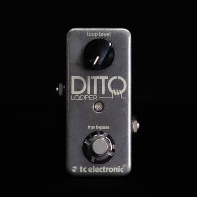 TC Helicon Micro Ditto Looper - USED | Reverb