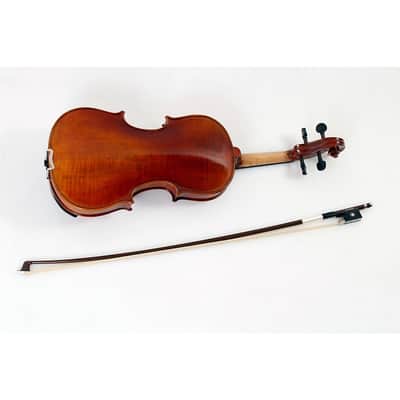 Ren Wei Shi Academy II Series Violin Outfit Regular 1/2 | Reverb