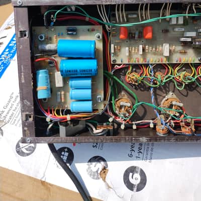 RARE Randall RGT RG100ES +TUBE CoMPlete ReBuiLD Custom Snake | Reverb