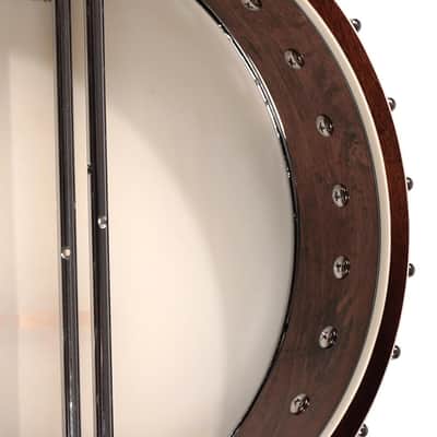 Gold Tone Model IT-250 Irish Tenor 4-String Open Back Banjo | Reverb