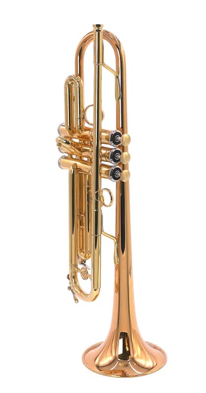 Scodwell "Mike Vax" Trumpet w/ Rose brass bell in Clear | Reverb
